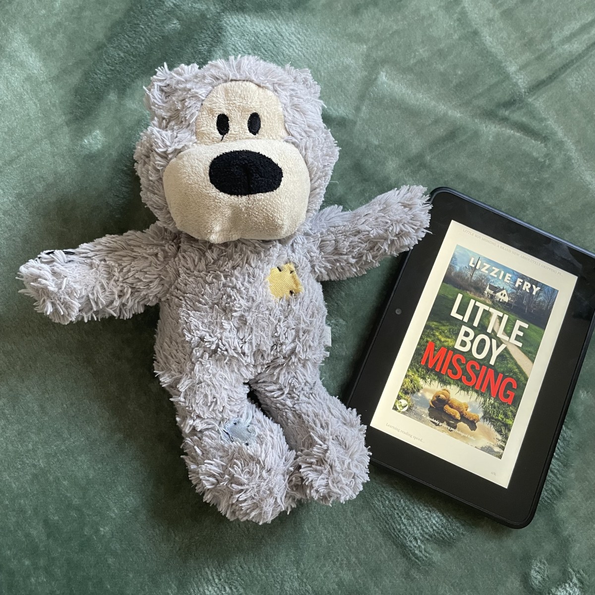 Little Boy Missing – MoMoBookDiary