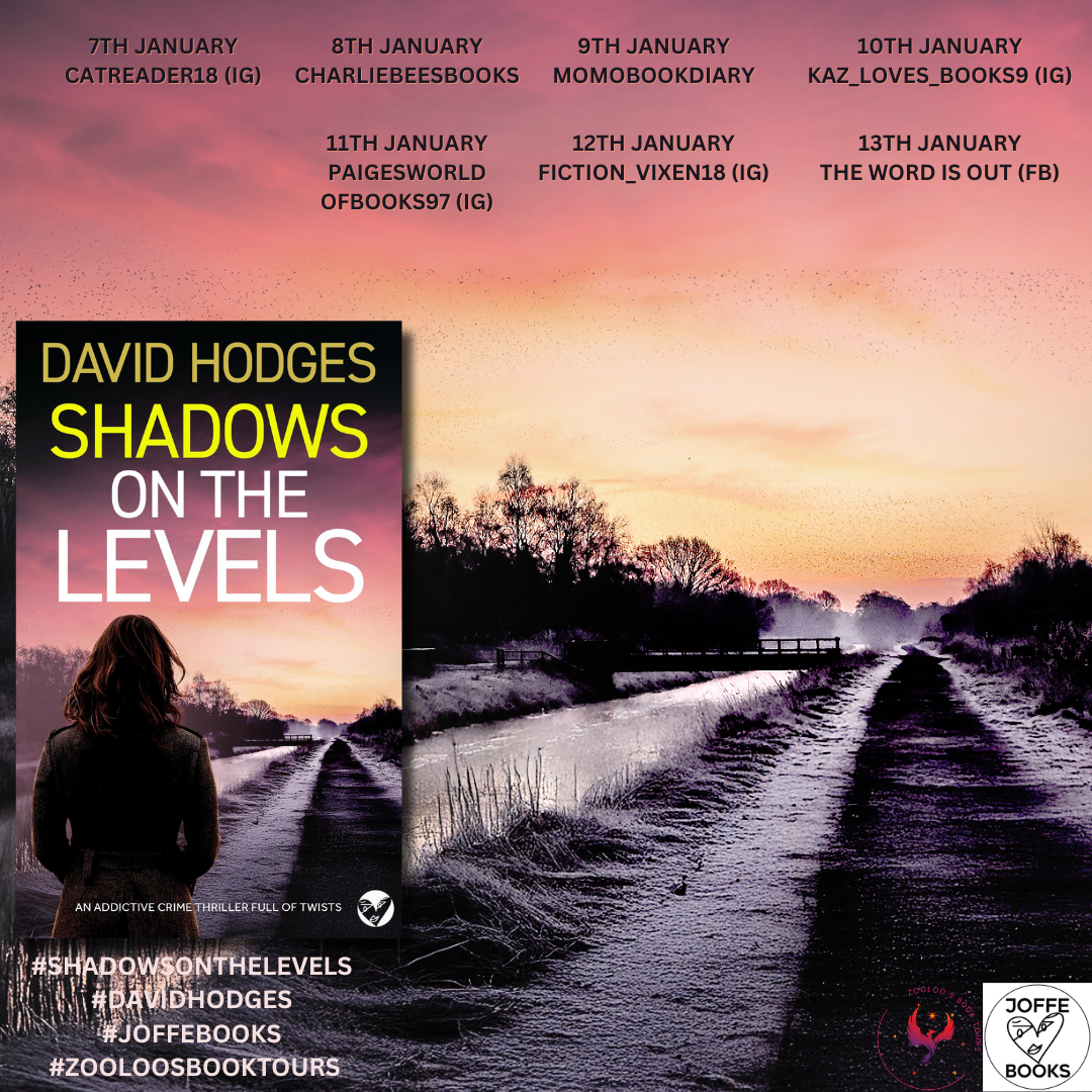 Shadows on the Levels by David Hodges – MoMoBookDiary