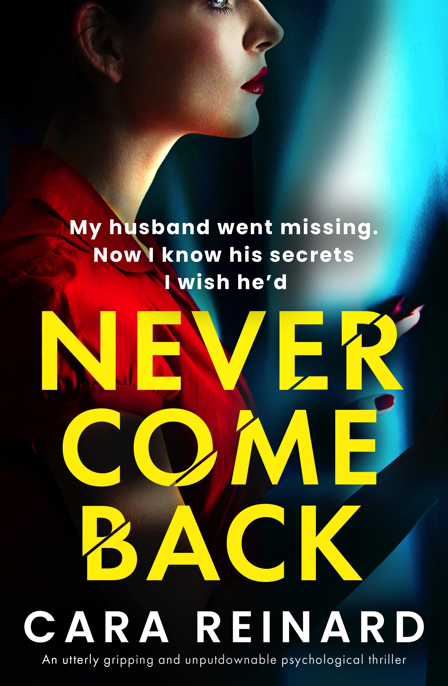 Never Come Back by Cara Reinard – MoMoBookDiary