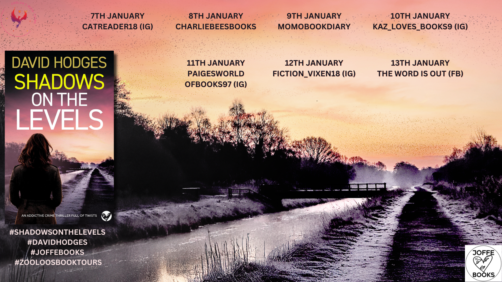 Shadows on the Levels by David Hodges – MoMoBookDiary