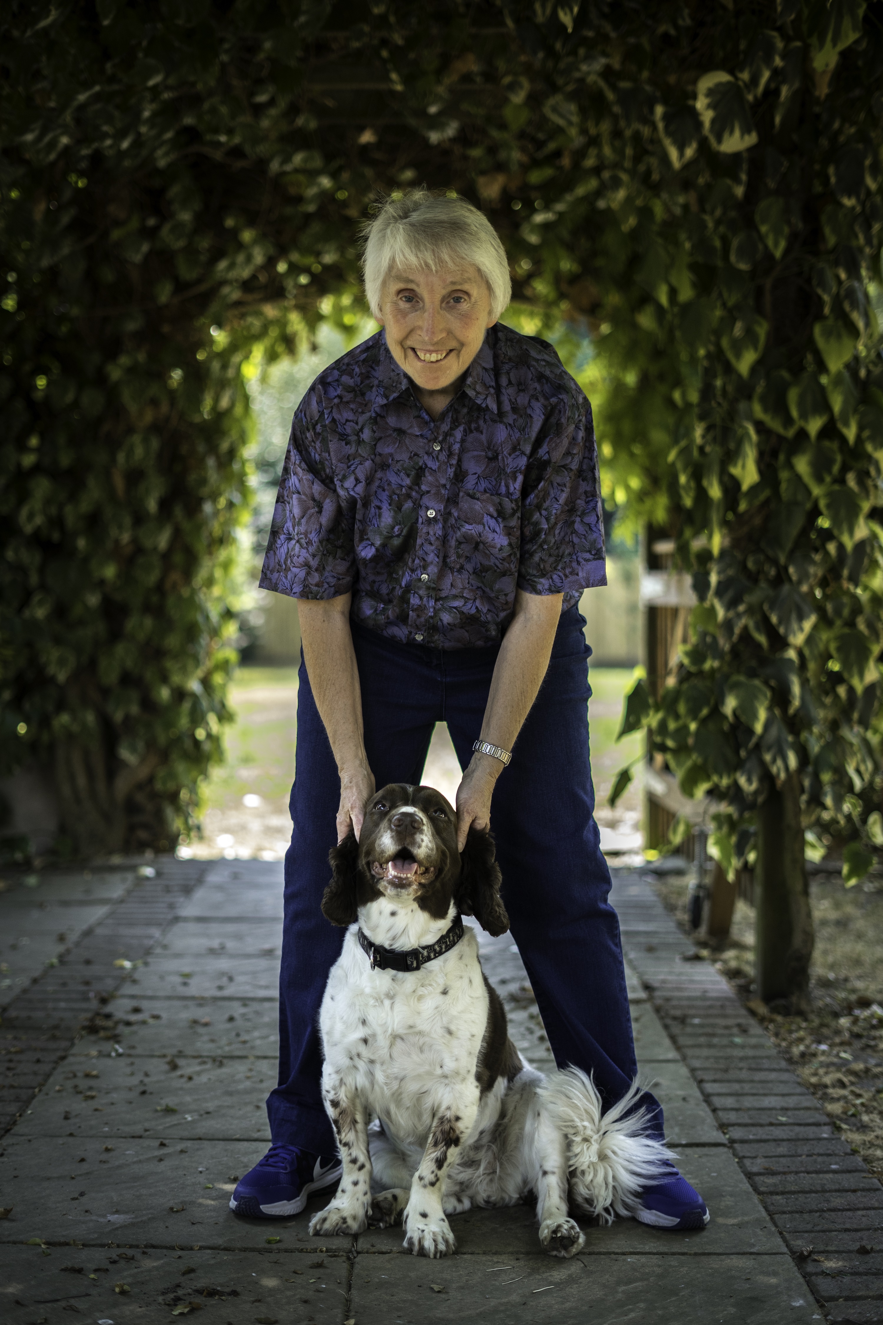 The House of Mystery by Joy Ellis – MoMoBookDiary